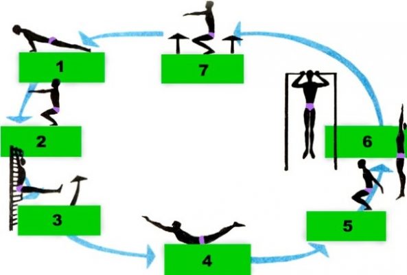 Circular workouts for burning fat for women, girls. Exercises in the ...